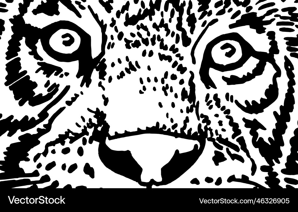 Close -up eyes of tiger muzzle angry Royalty Free Vector