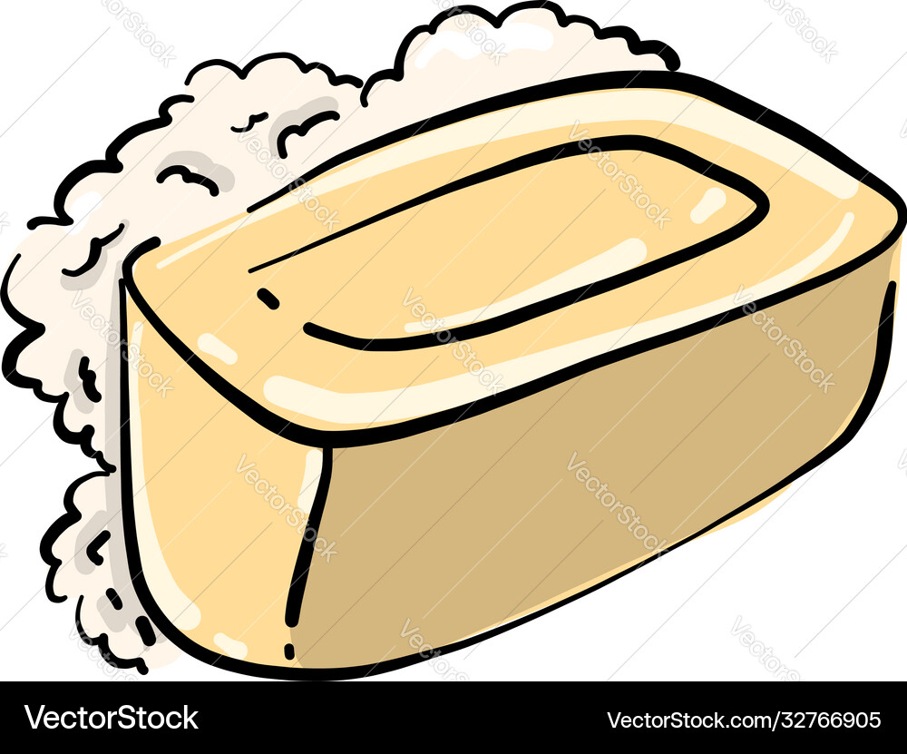 Solid soap on white background Royalty Free Vector Image