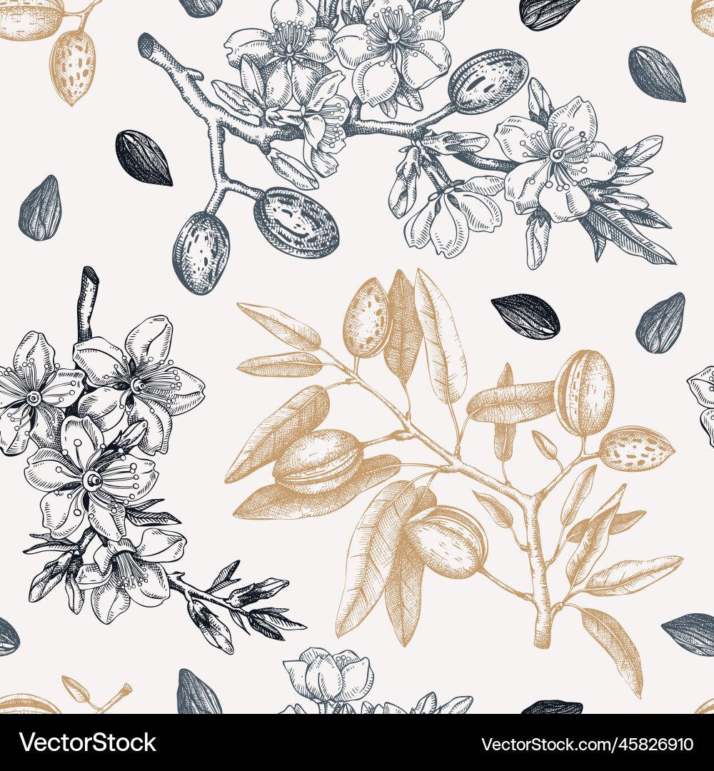 Almond branches vintage background design Vector Image
