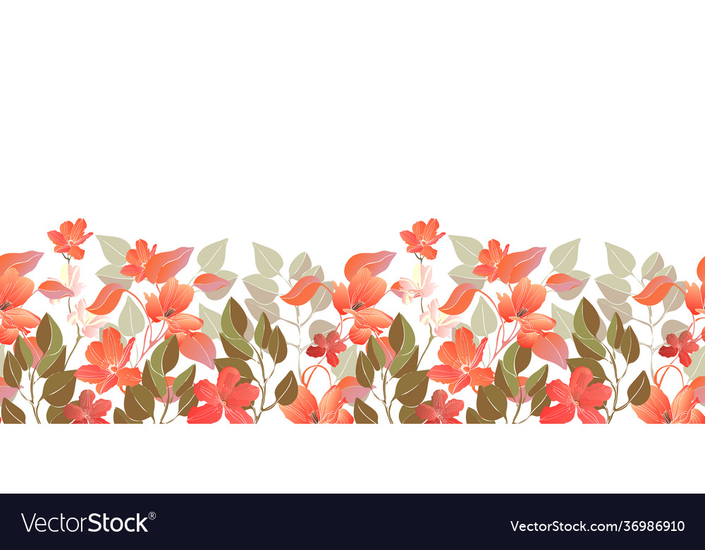 Floral seamless border pattern decorative Vector Image