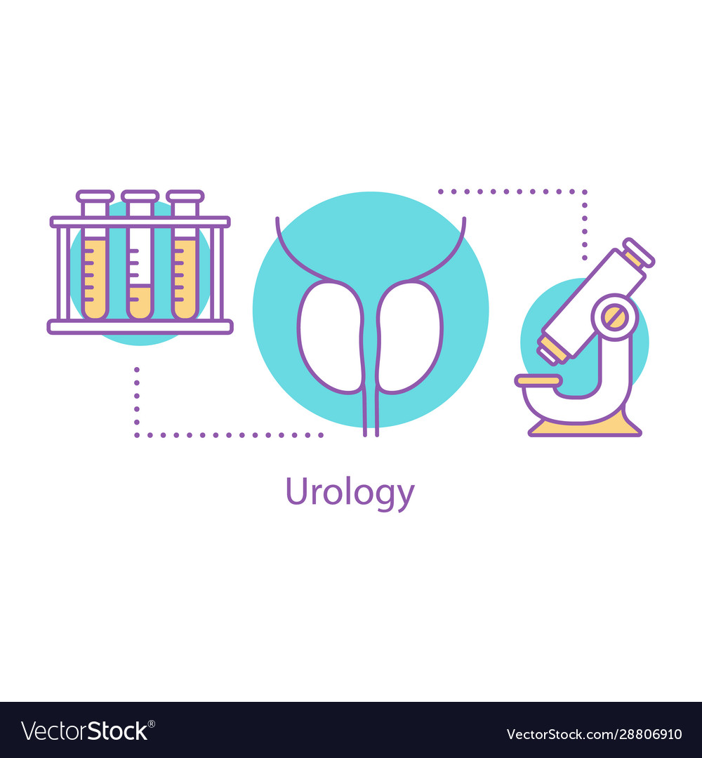 Urology concept icon Royalty Free Vector Image Urology concept icon Royalty Free Vector Image