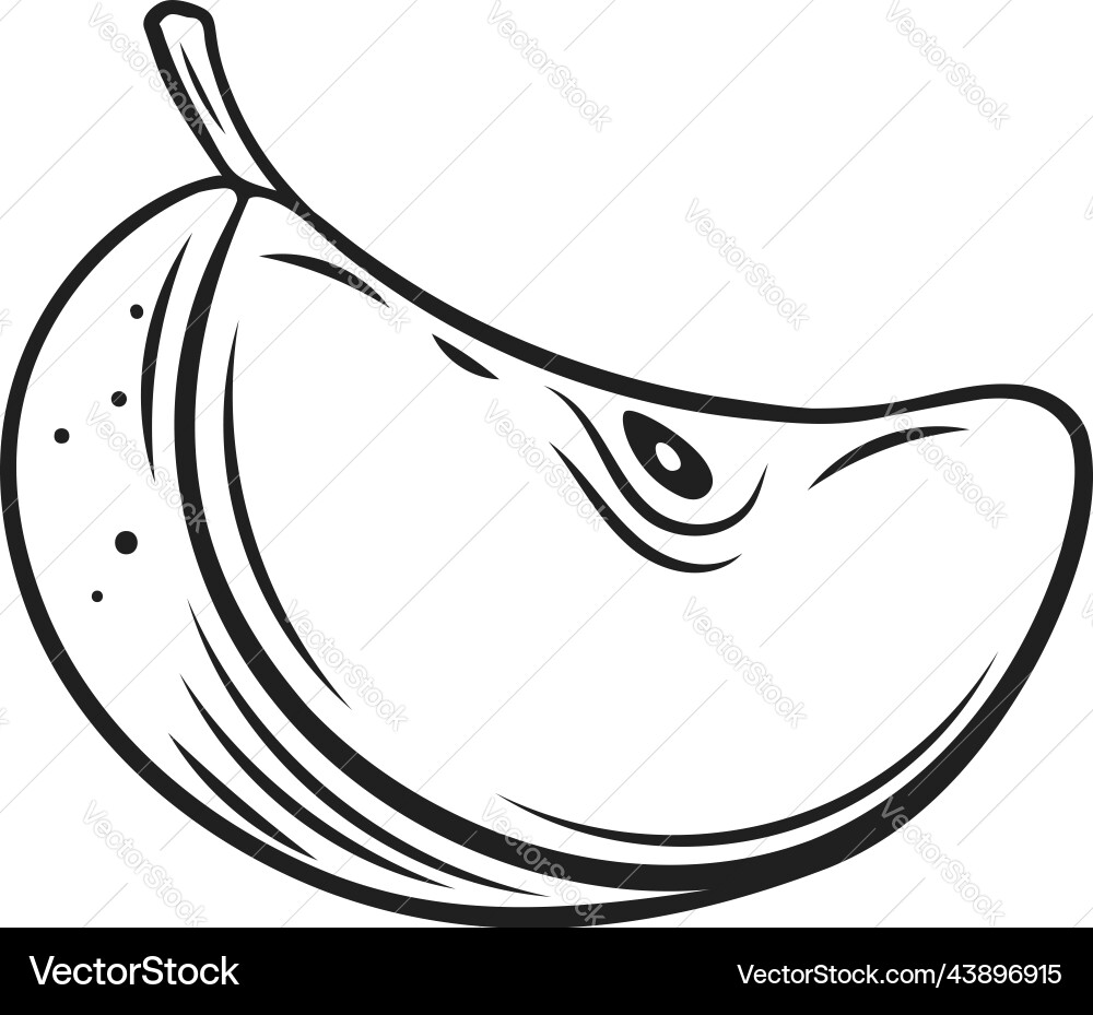 Apple slice with seeds line icon hand drawn fruit Vector Image