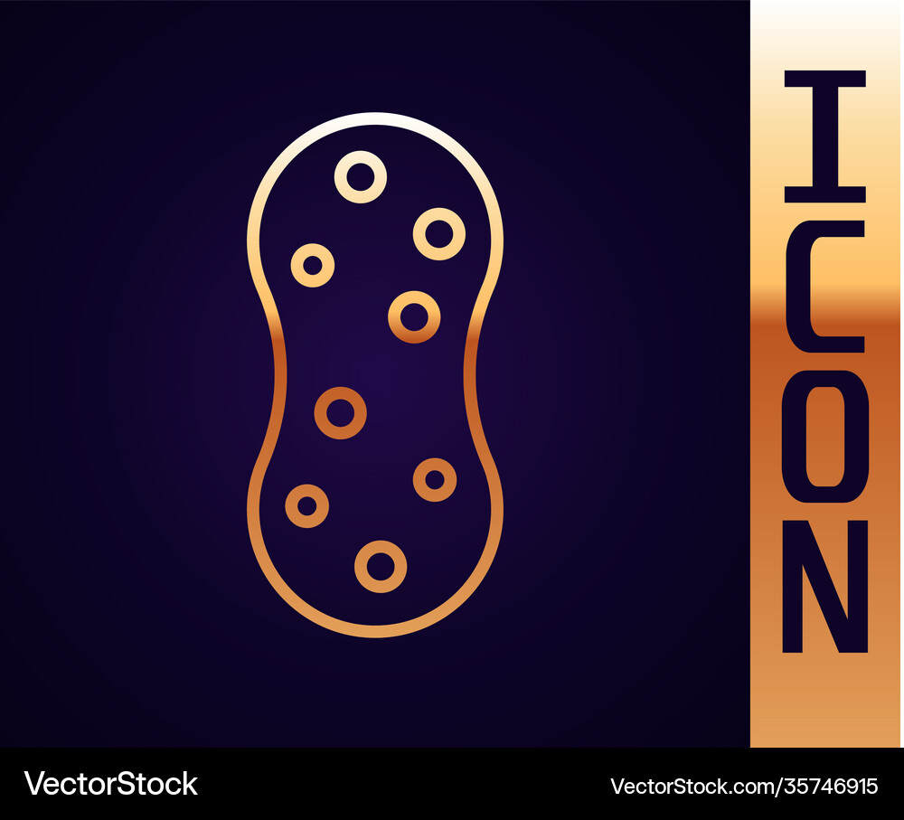 Gold line sponge with bubbles icon isolated Vector Image