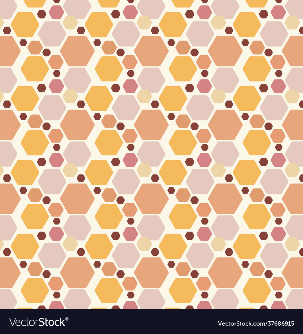 Hexagonal geometric pattern Royalty Free Vector Image