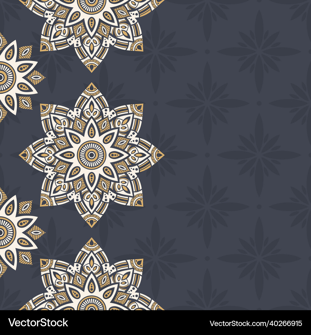 Seamless border pattern with mandalas mehndi lace Vector Image
