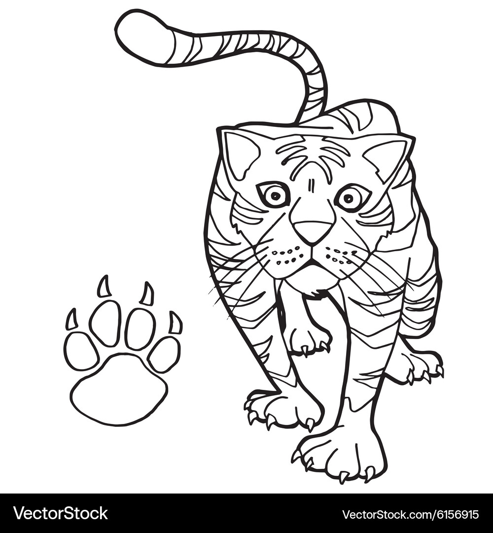 Tiger Paw Print Coloring Page Royalty Free Vector Image