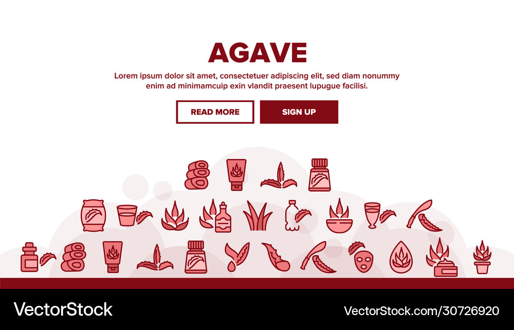 Agave aloe vera plant landing header Royalty Free Vector