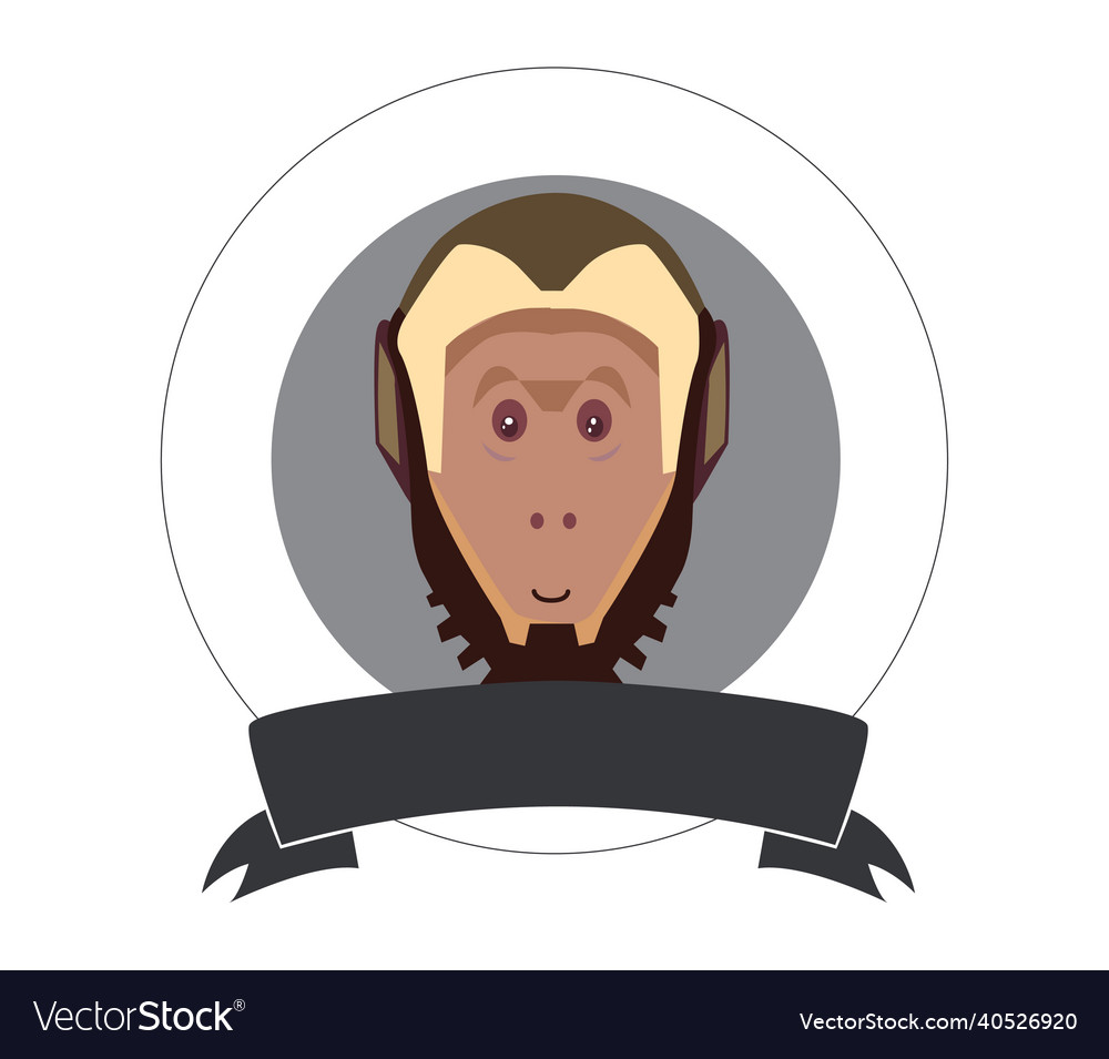 Capuchin monkey Royalty Free Vector Image - VectorStock