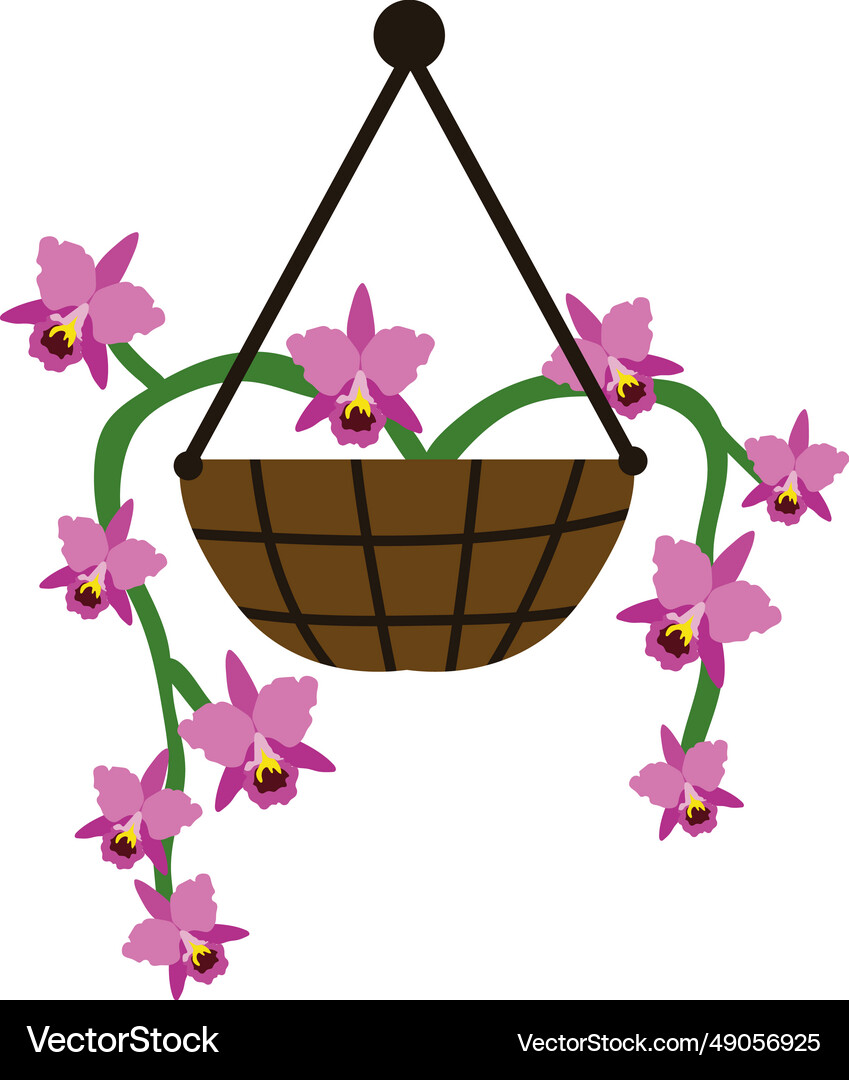 Flowers in hanging vase Royalty Free Vector Image
