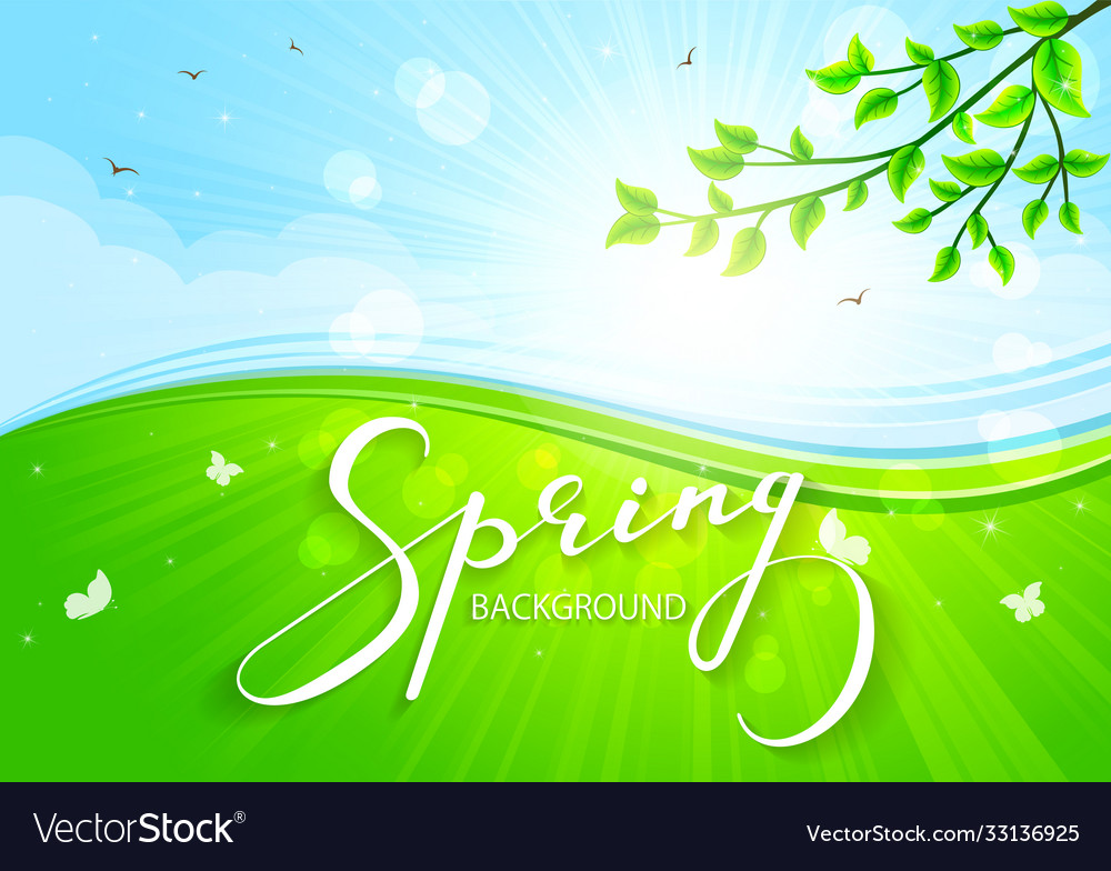 Spring background Royalty Free Vector Image - VectorStock