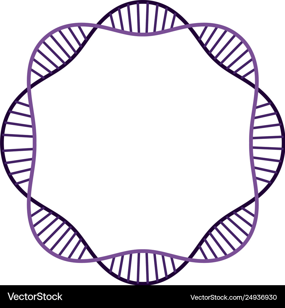 Circular dna chain science colorful icon Vector Image