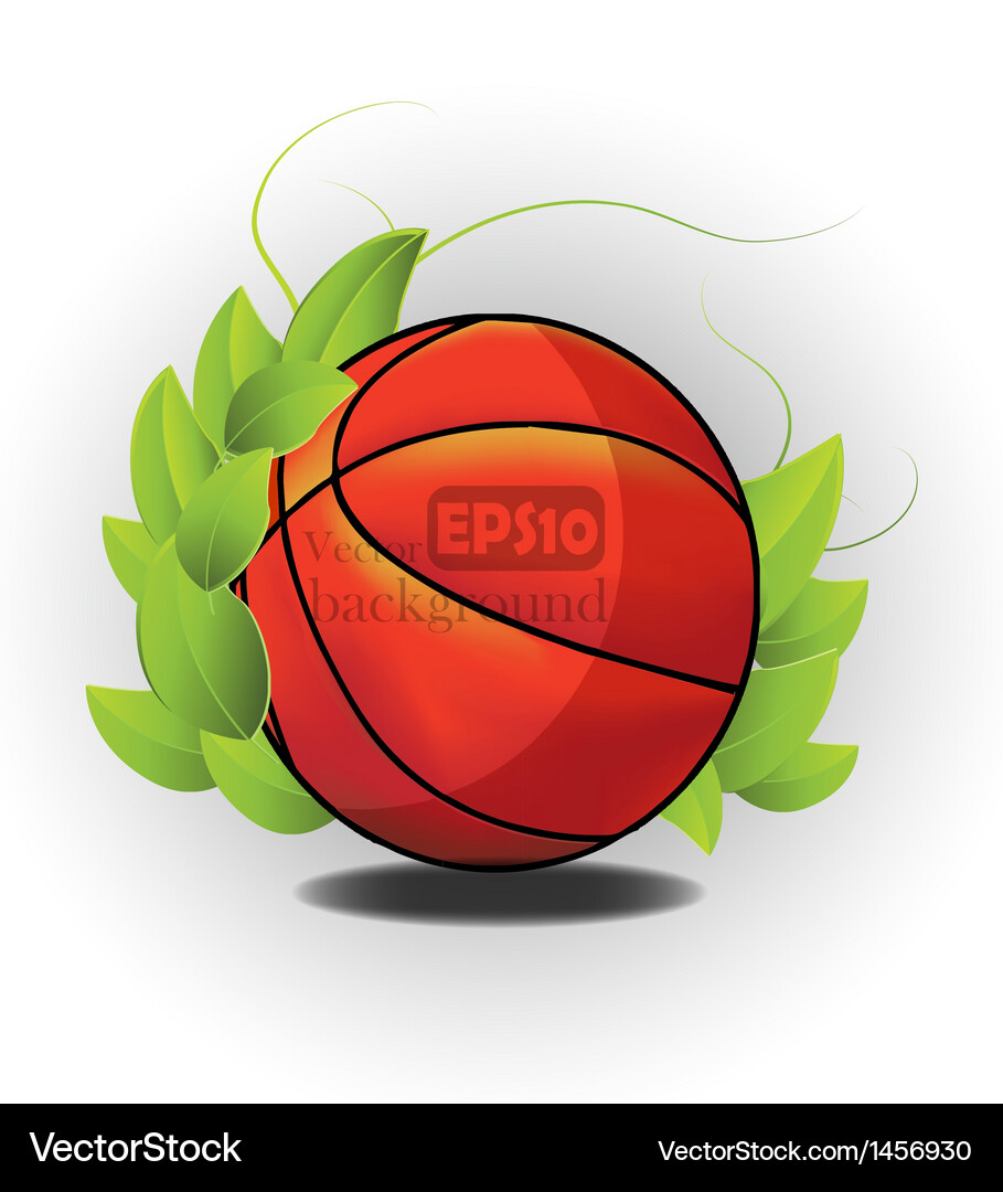 Sports ball design Royalty Free Vector Image - VectorStock