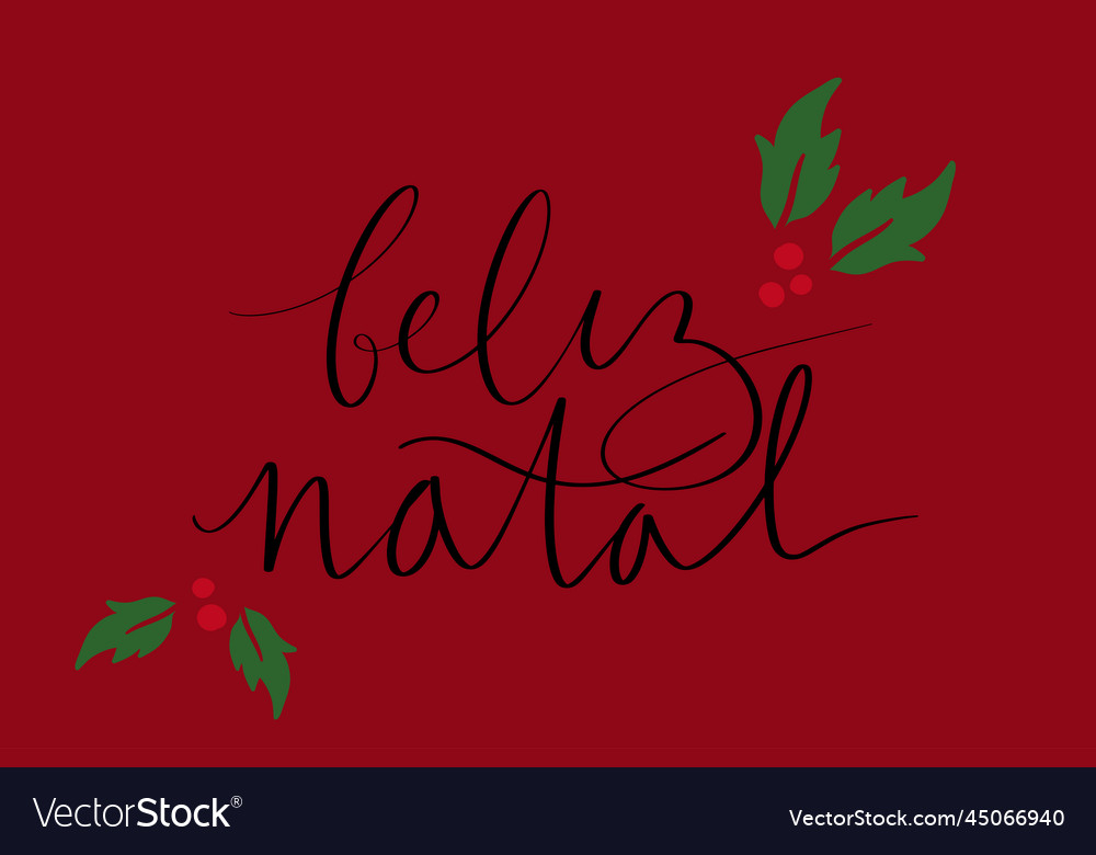Merry christmas in portuguese feliz natal Vector Image