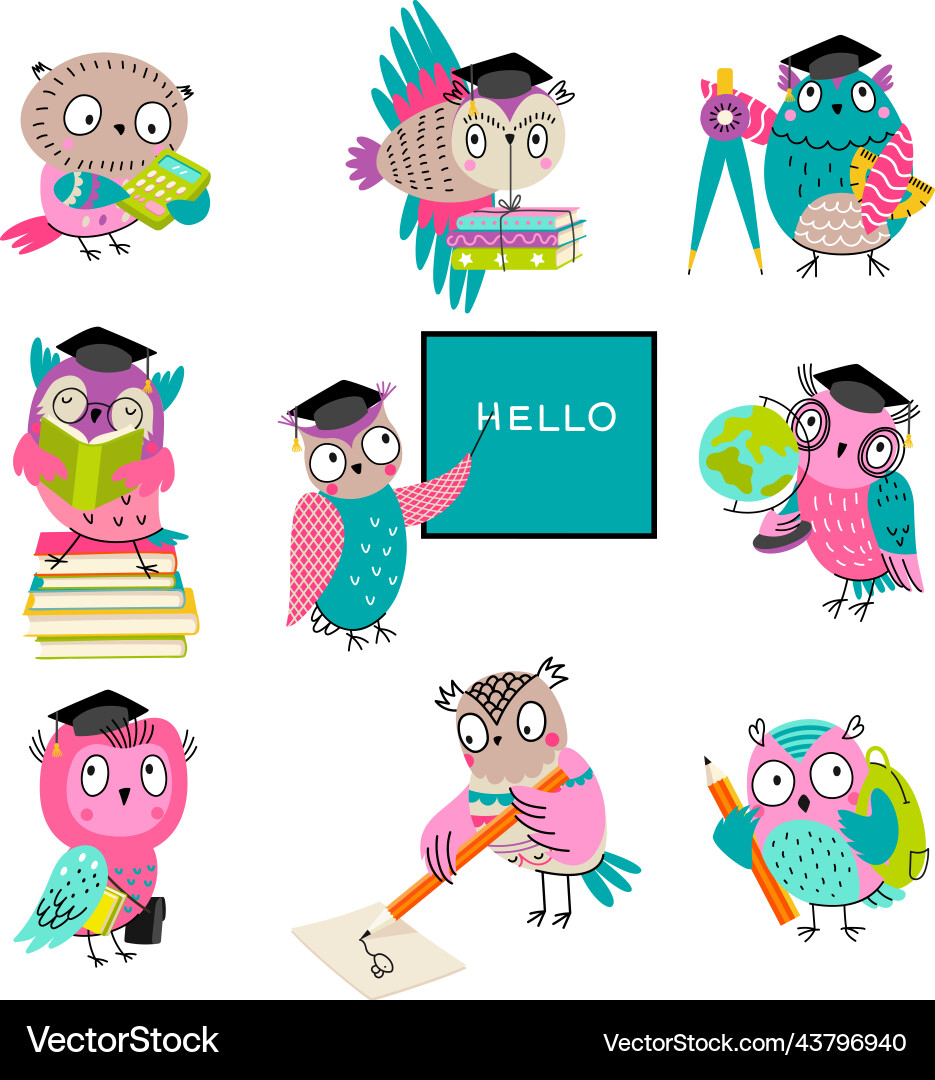 Smart cartoon owls and school education elements Vector Image
