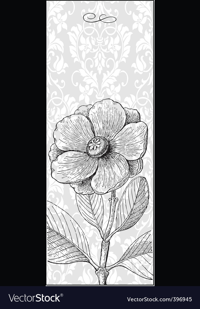 Book mark Royalty Free Vector Image - VectorStock