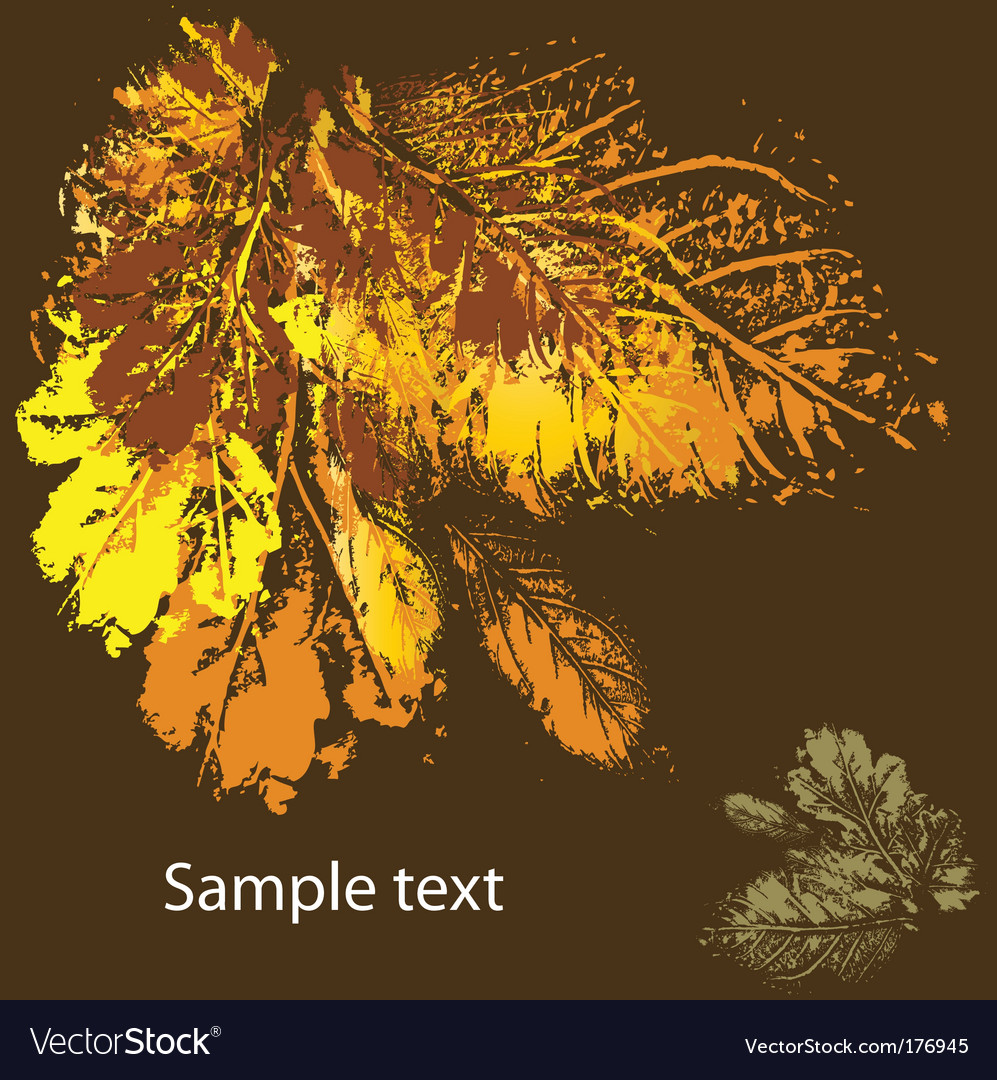 Leaf card Royalty Free Vector Image - VectorStock