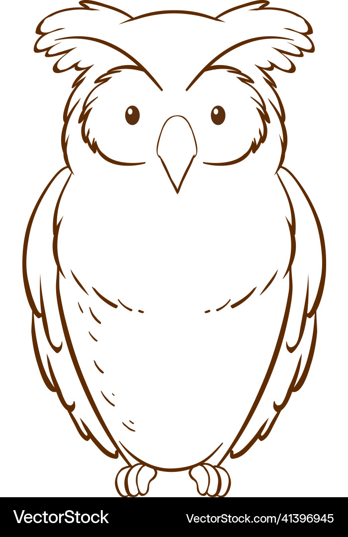 Simple Owl Outline Black And White