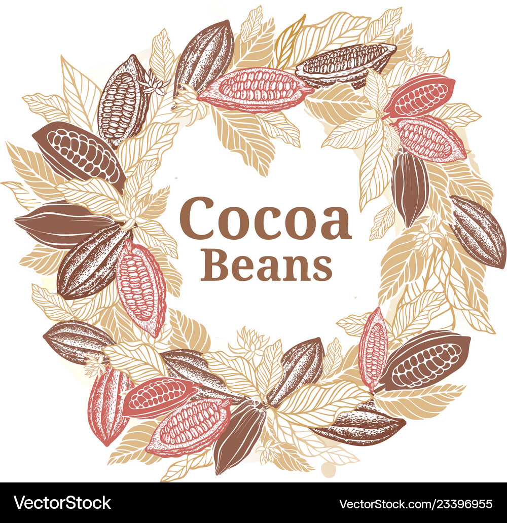 Cacao beans plant exotic plants Royalty Free Vector Image