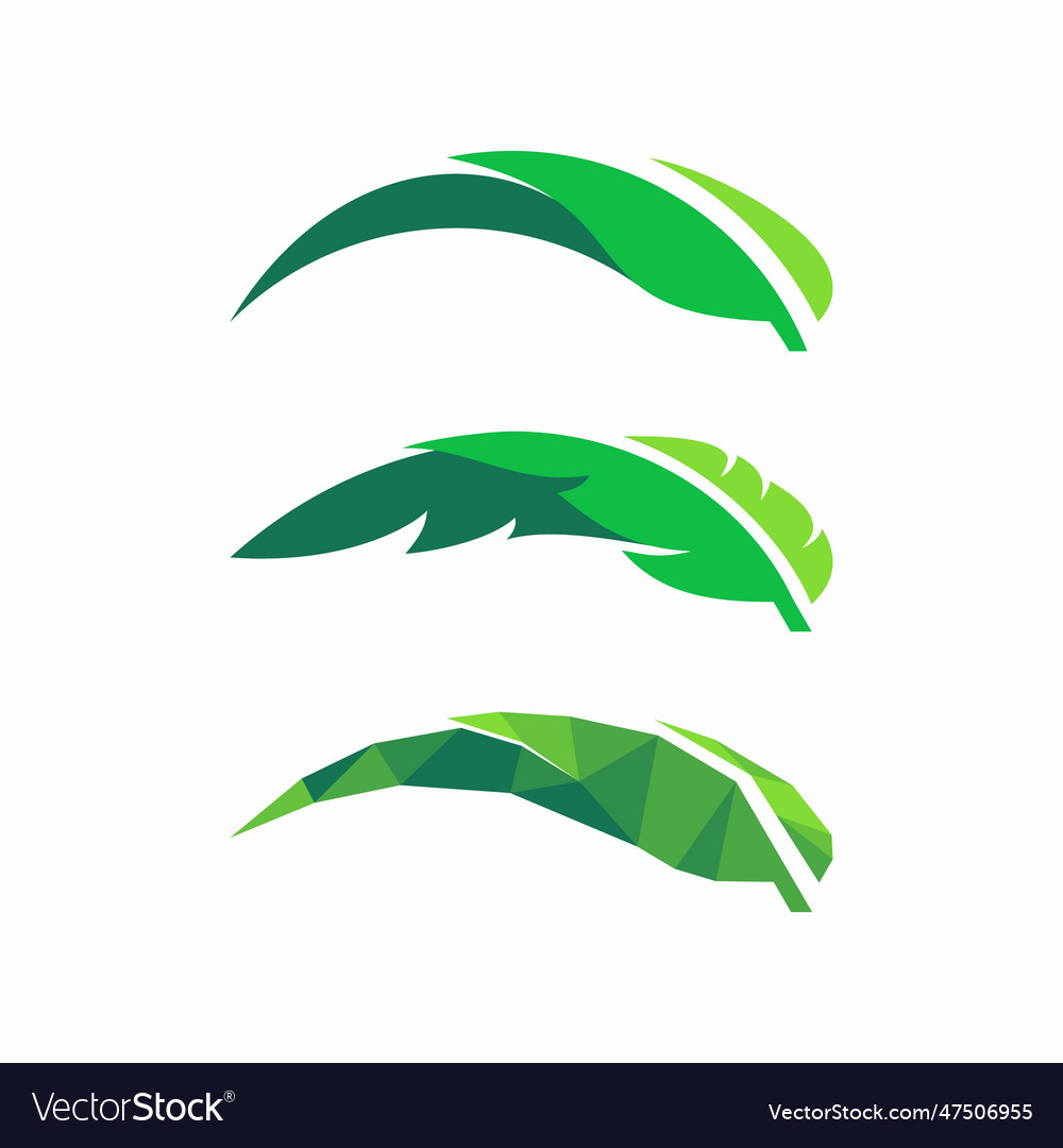 Green leaf shape set Royalty Free Vector Image