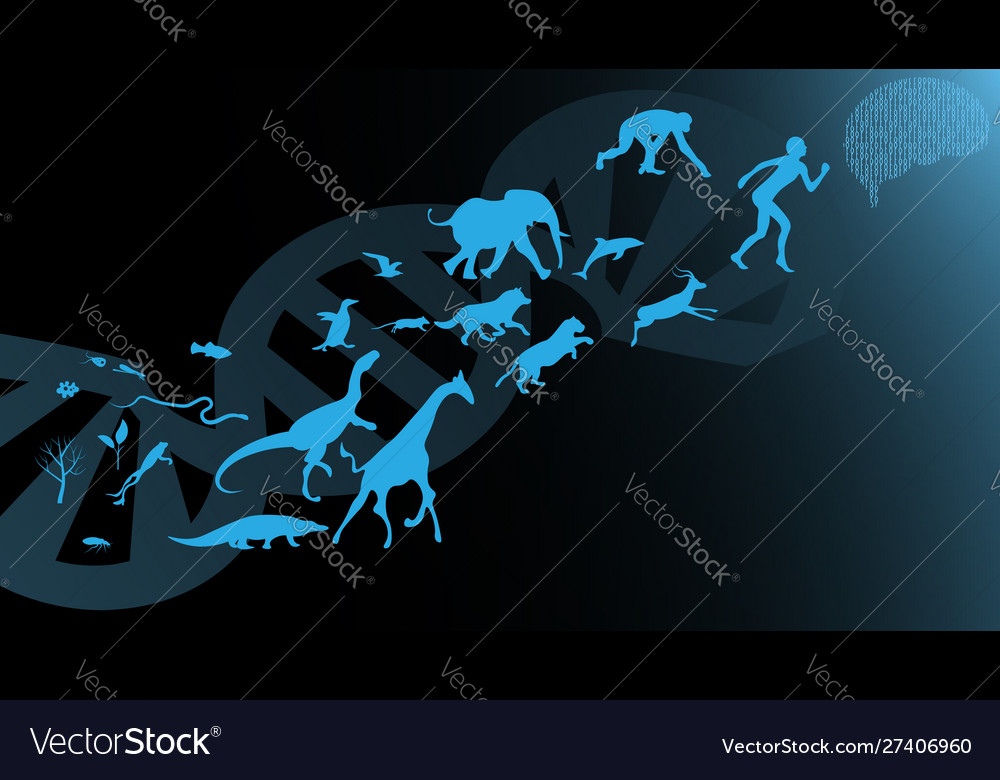 Evolution theory Royalty Free Vector Image - VectorStock