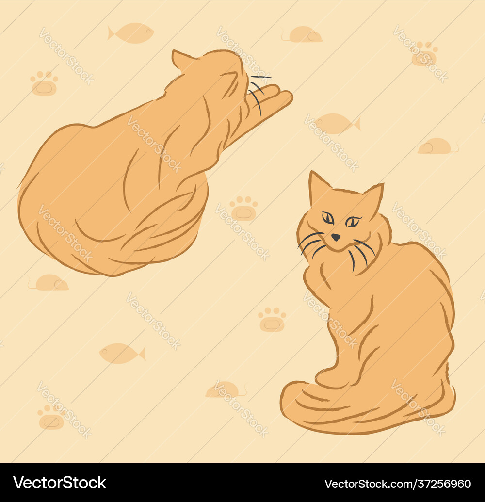 Ginger cats Royalty Free Vector Image - VectorStock