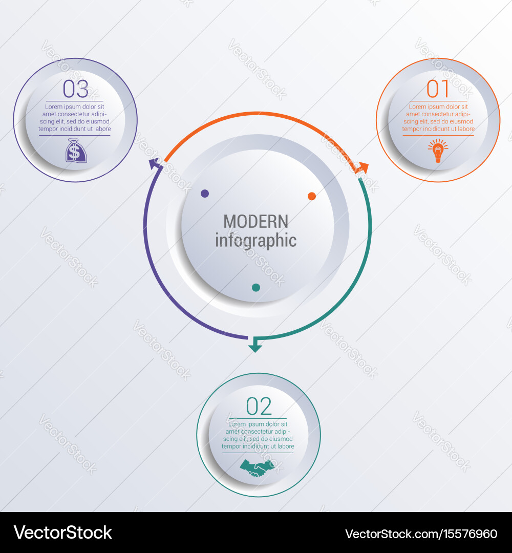 Infographic diagram with 3 options circles Vector Image