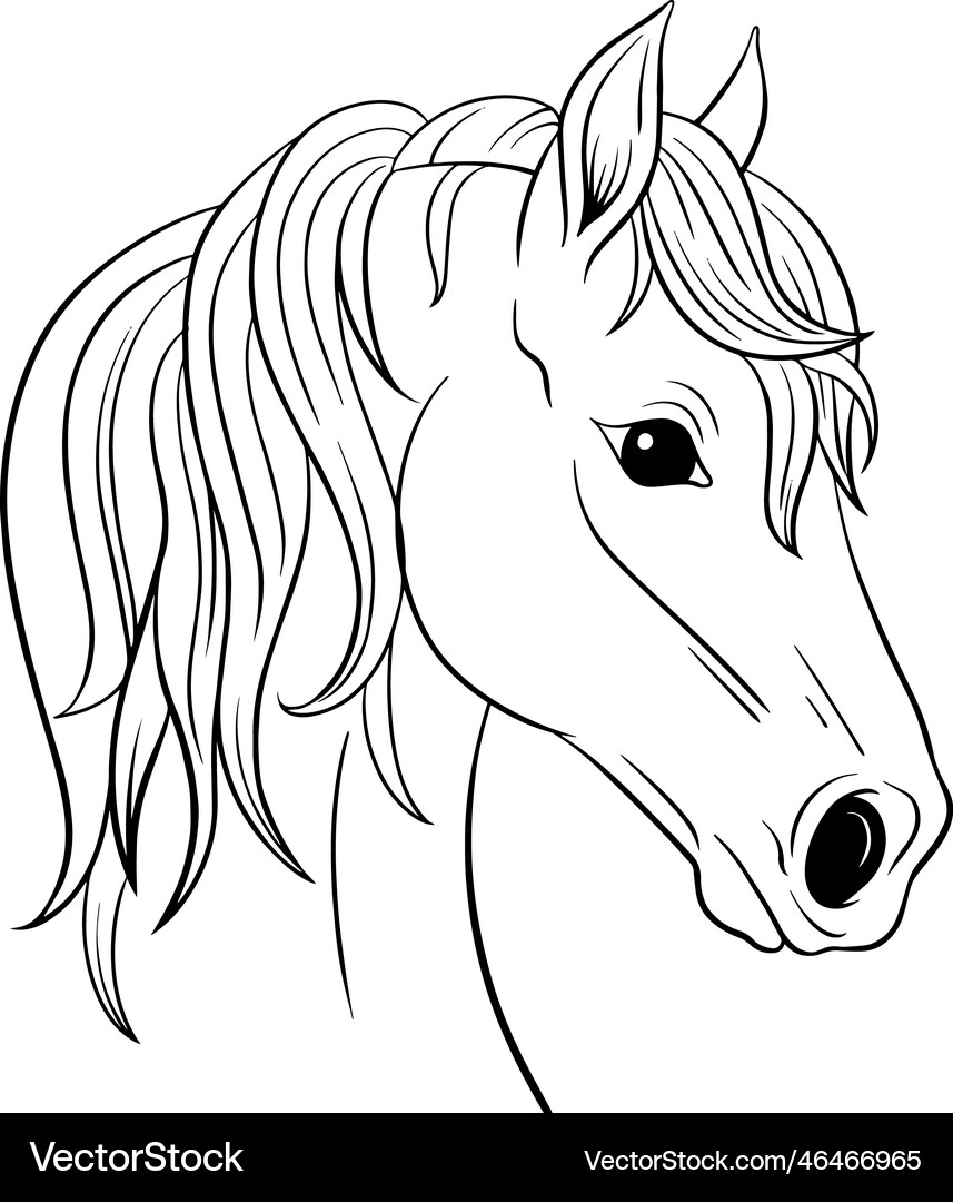 Horse lineart Royalty Free Vector Image - VectorStock