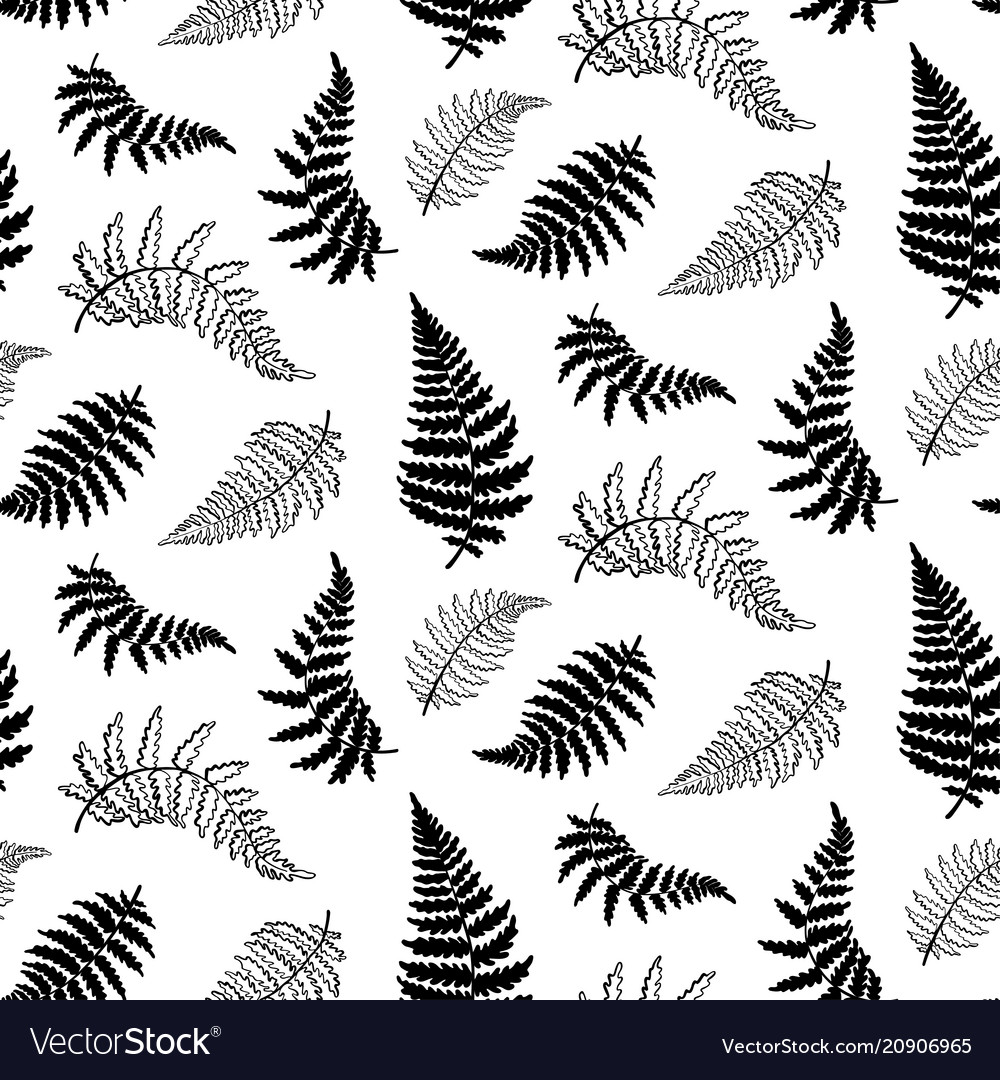 Pattern fern leaf Royalty Free Vector Image - VectorStock