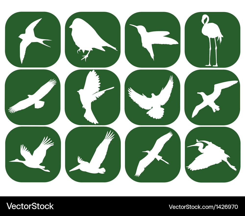 Birds in the green squares Royalty Free Vector Image