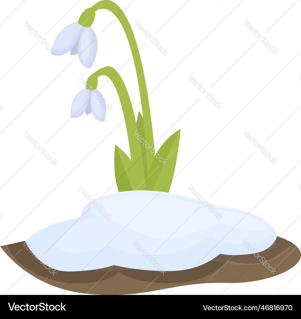 Fresh snowdrop icon cartoon spring flower Vector Image