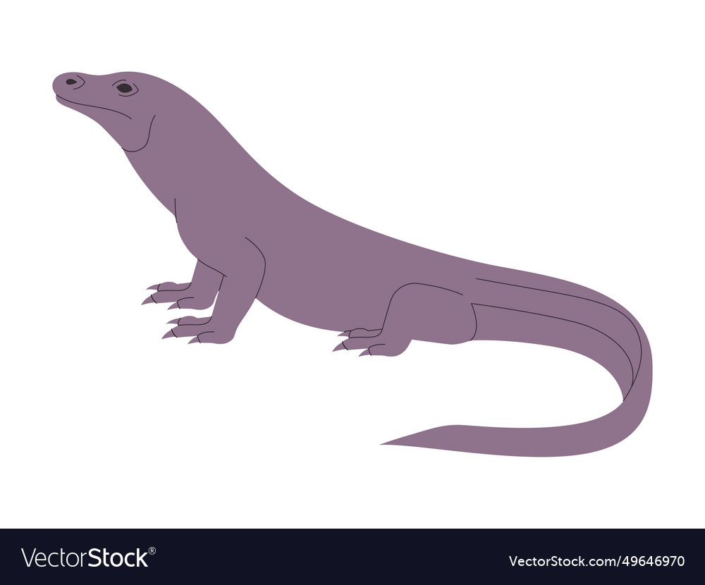 Komodo dragon wild nature animal large lizard Vector Image