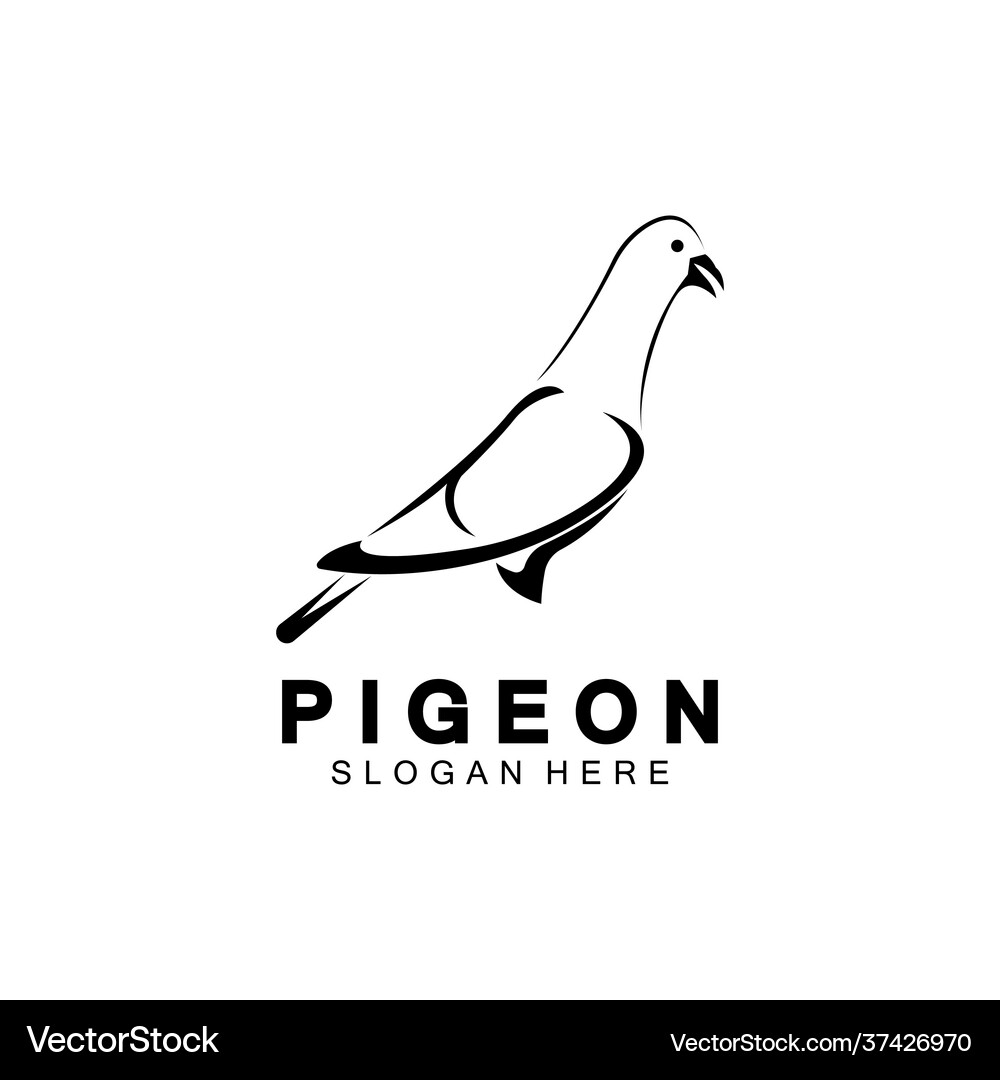 Pigeon bird logo icon design template Royalty Free Vector