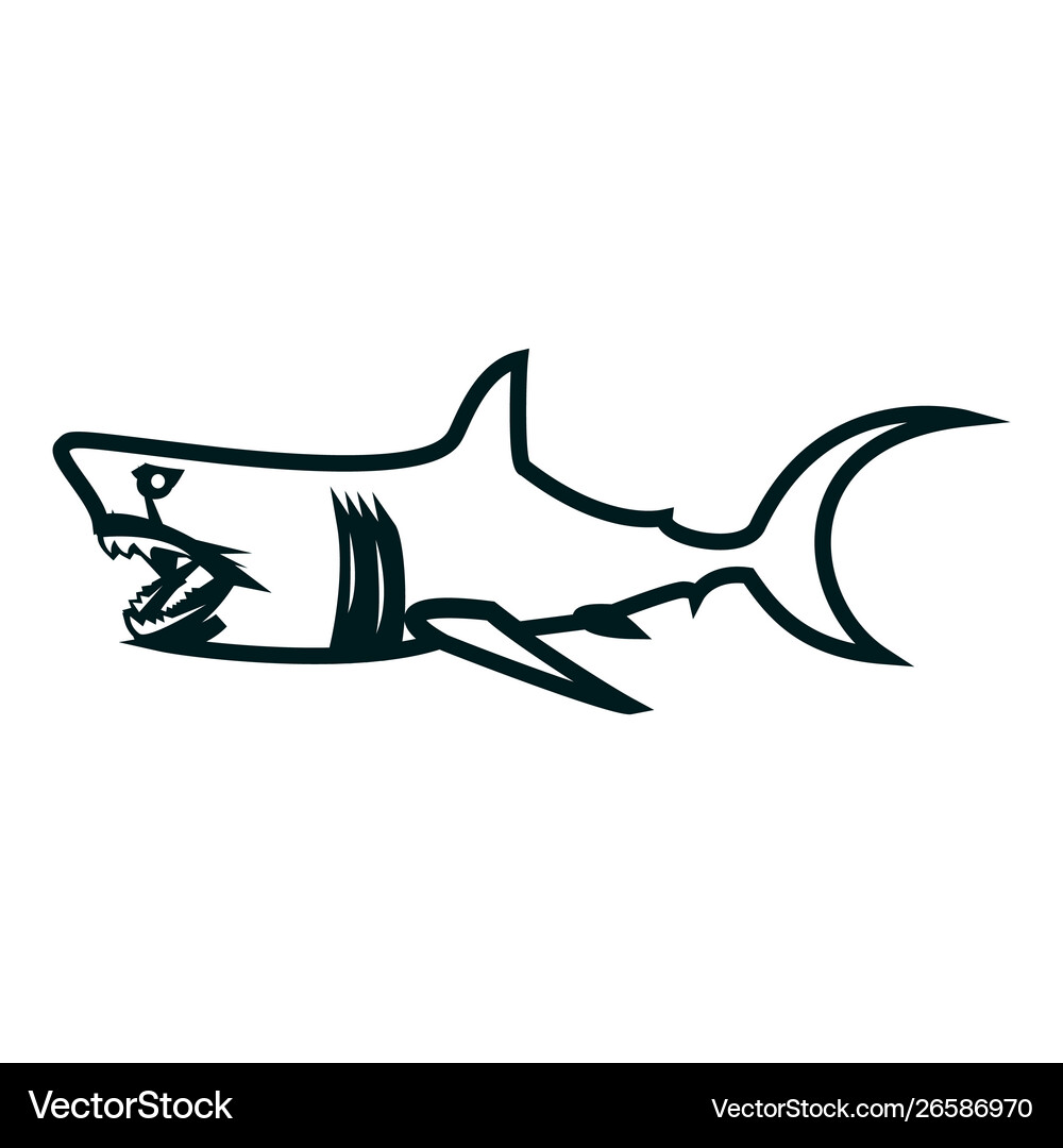 Shark line art simple outline design Royalty Free Vector