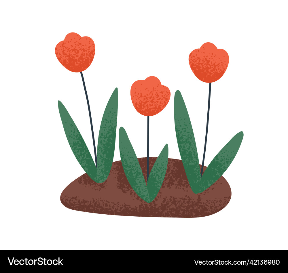 Blossomed spring flowers growing in ground Vector Image