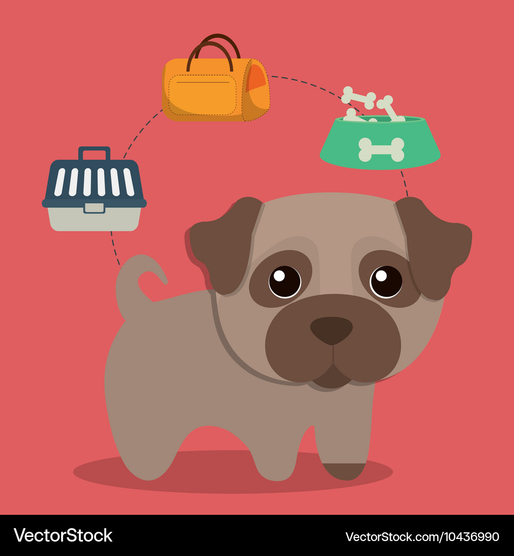 Dog cartoon pet design Royalty Free Vector Image