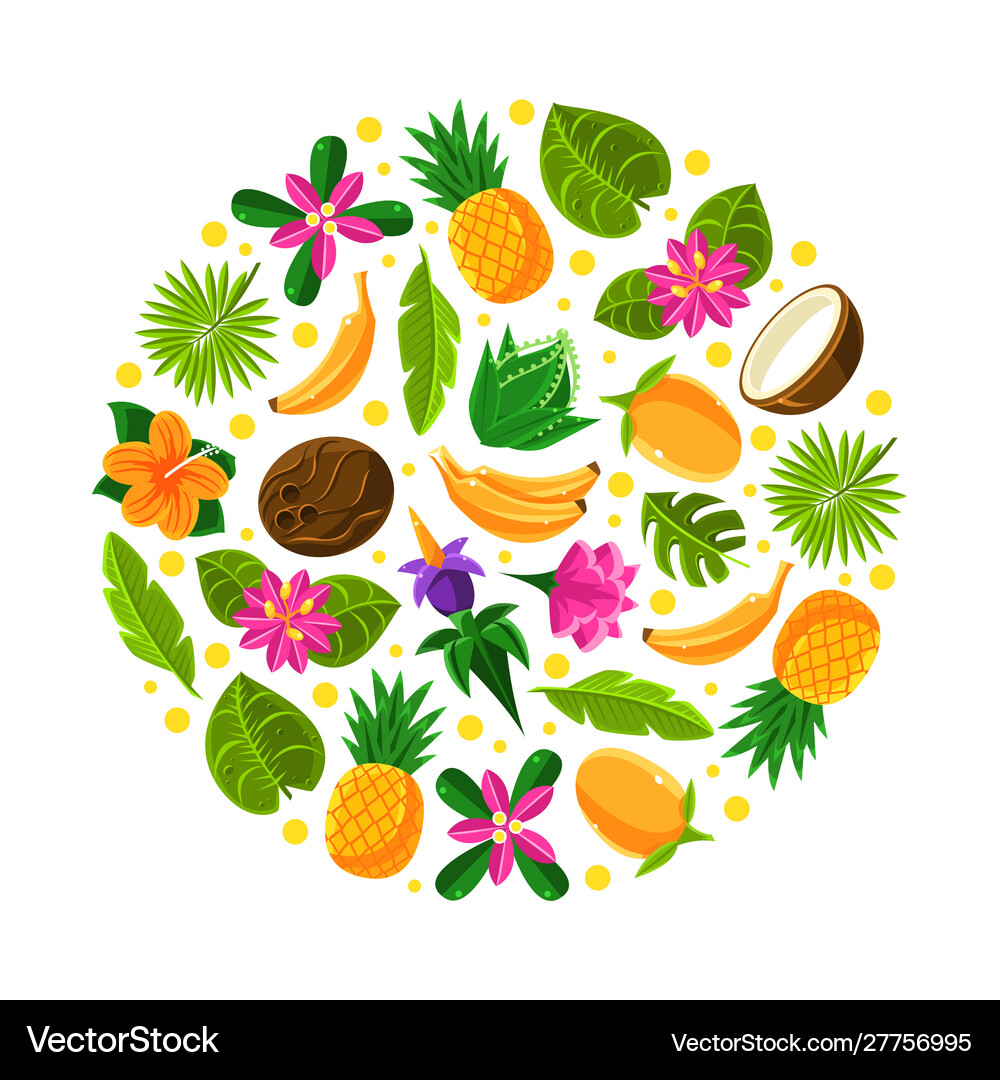 Circle with tropical fruit pattern Royalty Free Vector Image