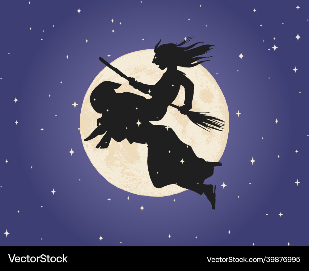 Witch flying over the moon in night sky Royalty Free Vector