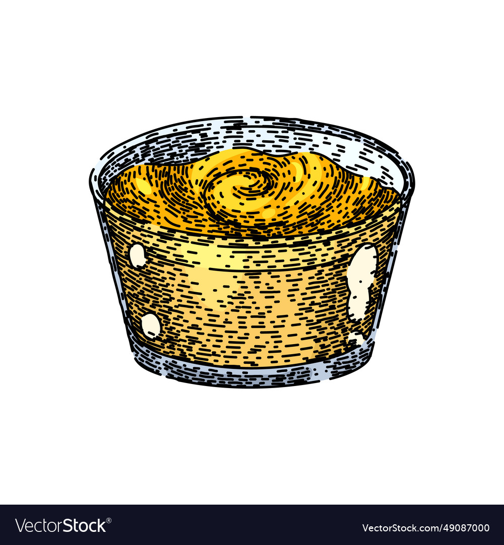 India curry sketch hand drawn Royalty Free Vector Image India curry sketch hand drawn Royalty Free Vector Image