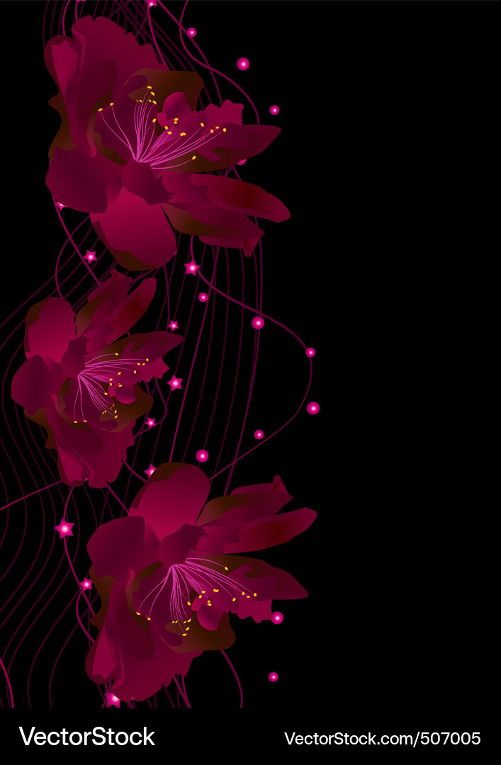 Elegant Red Flowers Against Black Royalty Free Vector Image