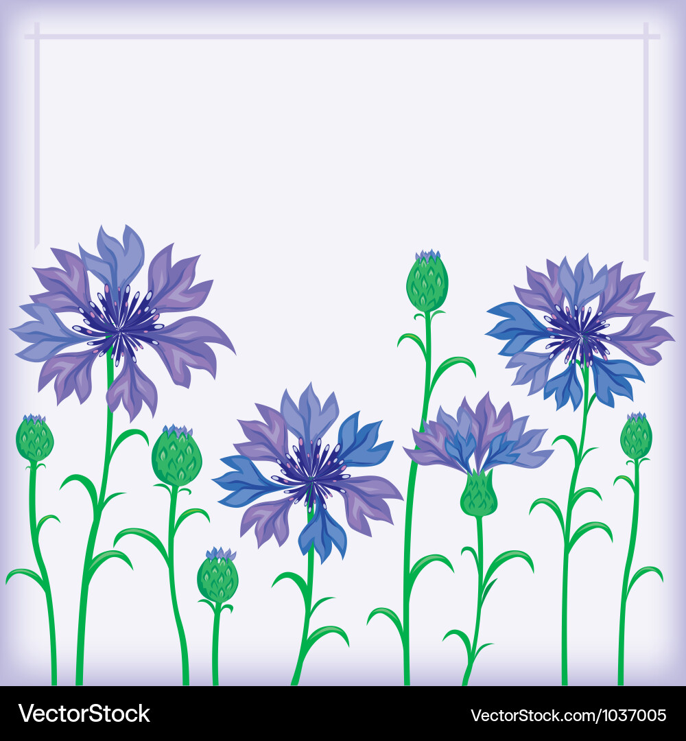 Flower border of cornflowers Royalty Free Vector Image