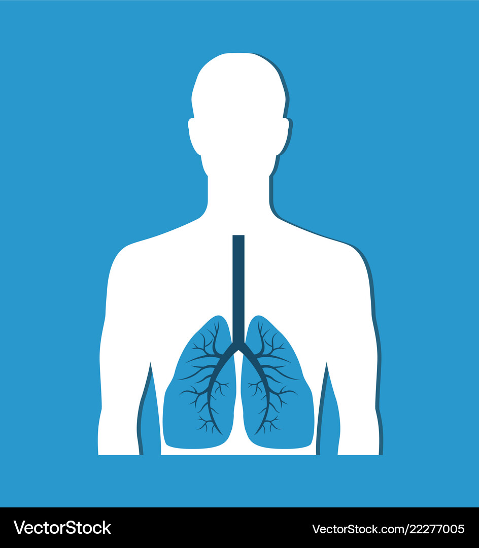 Human lungs banner isolated on blue icon Vector Image
