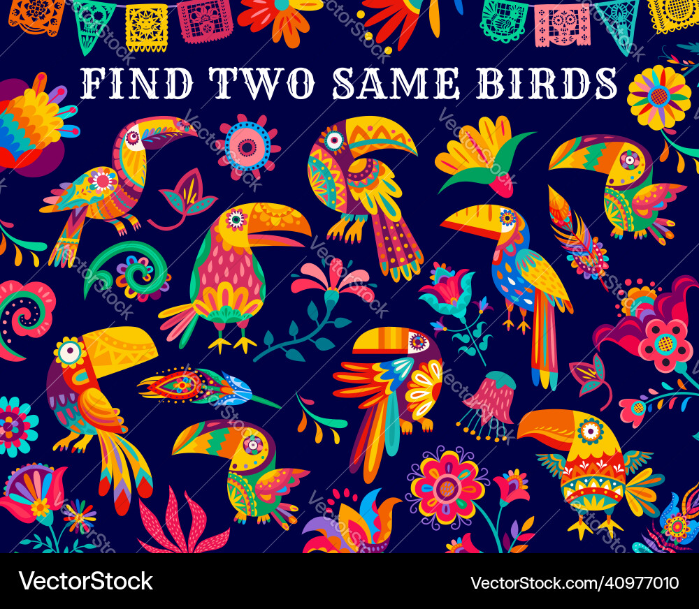 Find two same mexican toucans kids game riddle Vector Image
