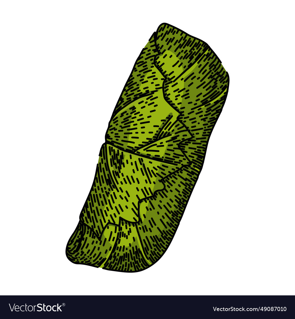 Meal dolma sketch hand drawn Royalty Free Vector Image Meal dolma sketch hand drawn Royalty Free Vector Image