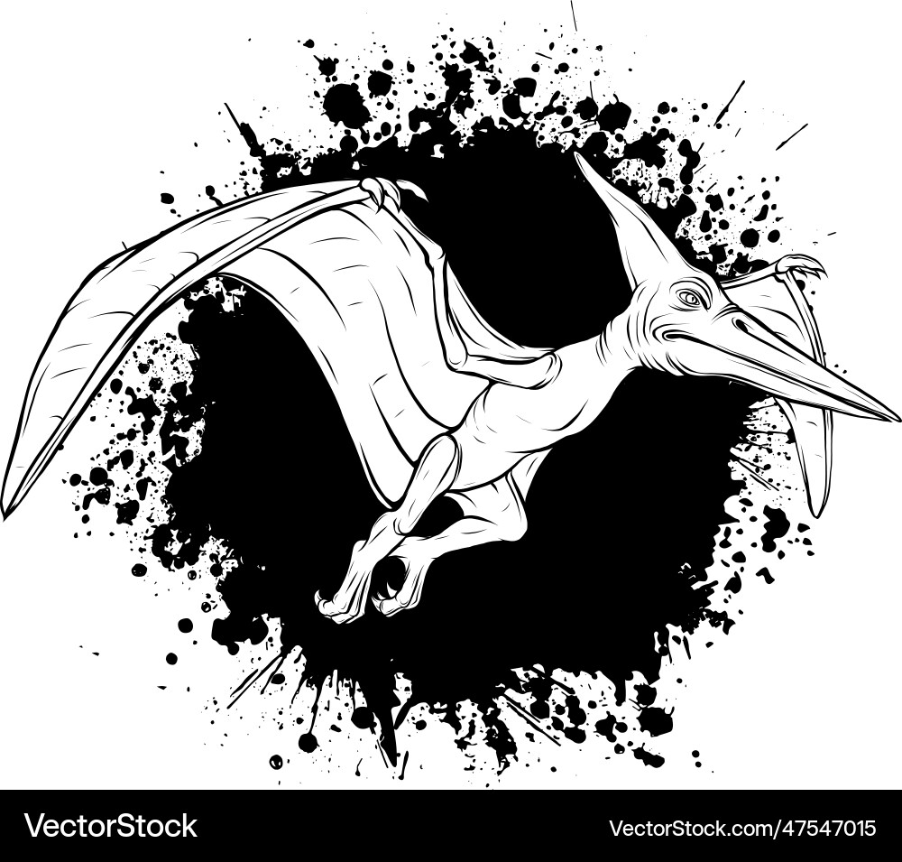 Black hand drawn outline flying pterodactyl Vector Image
