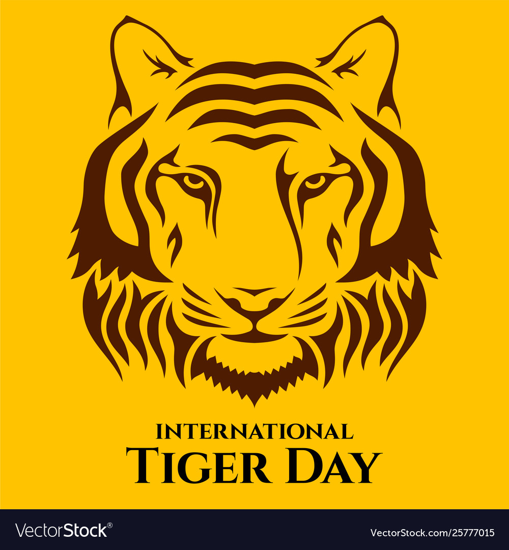 International tiger day tigers head color Vector Image International tiger day tigers head color Vector Image