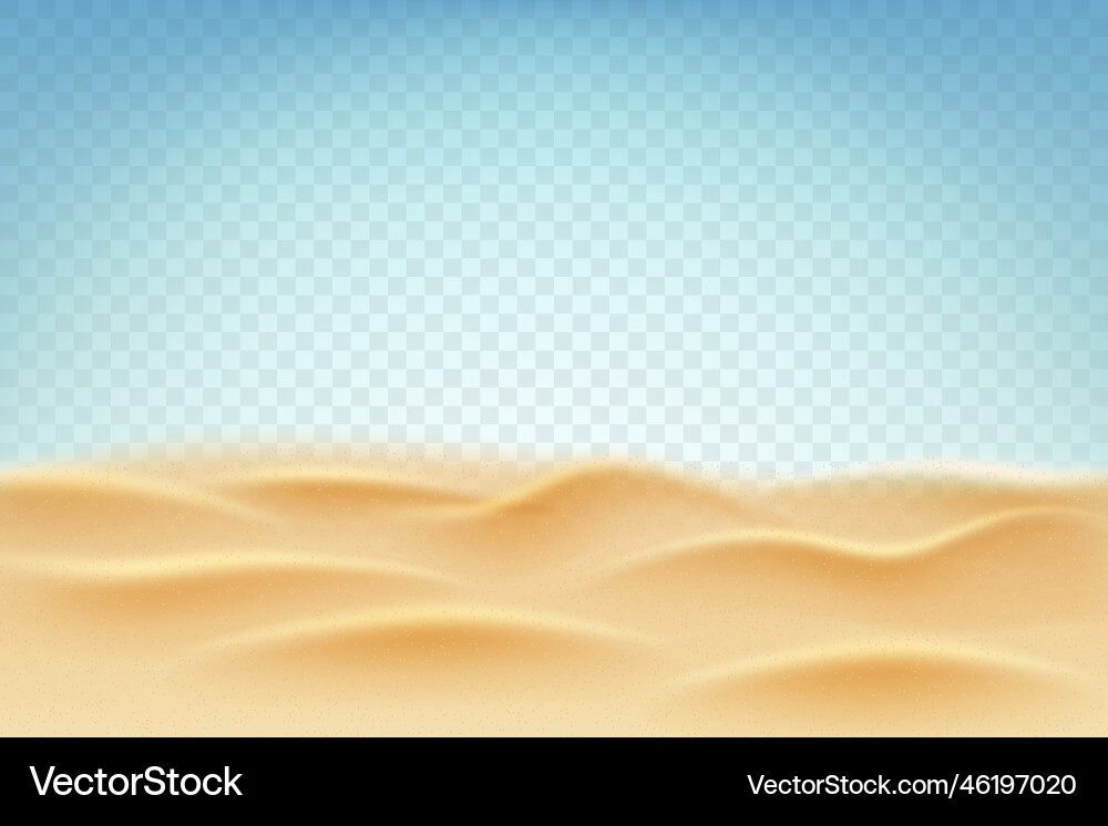Realistic sand playa beach stones and sandy Vector Image