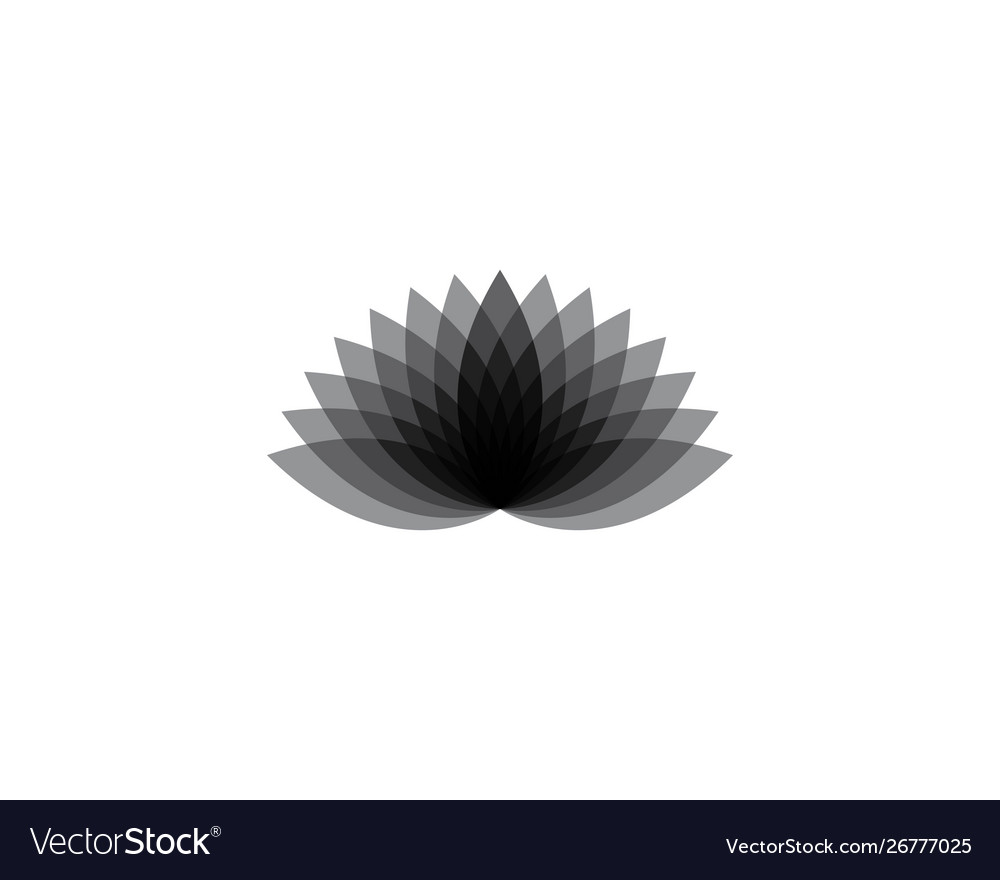 Lotus flowers logo template Royalty Free Vector Image