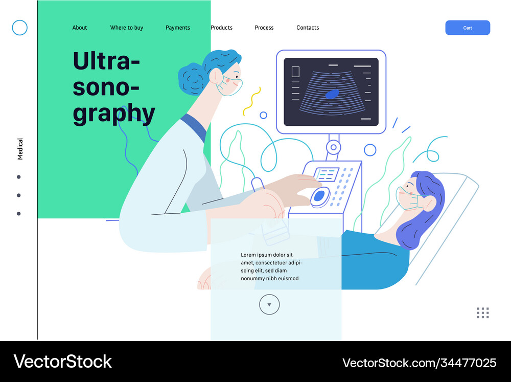 Medical tests - ultrasound Royalty Free Vector Image