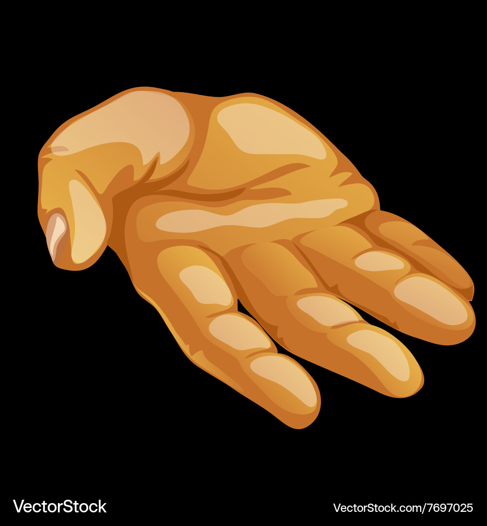 Open male palm close up Royalty Free Vector Image