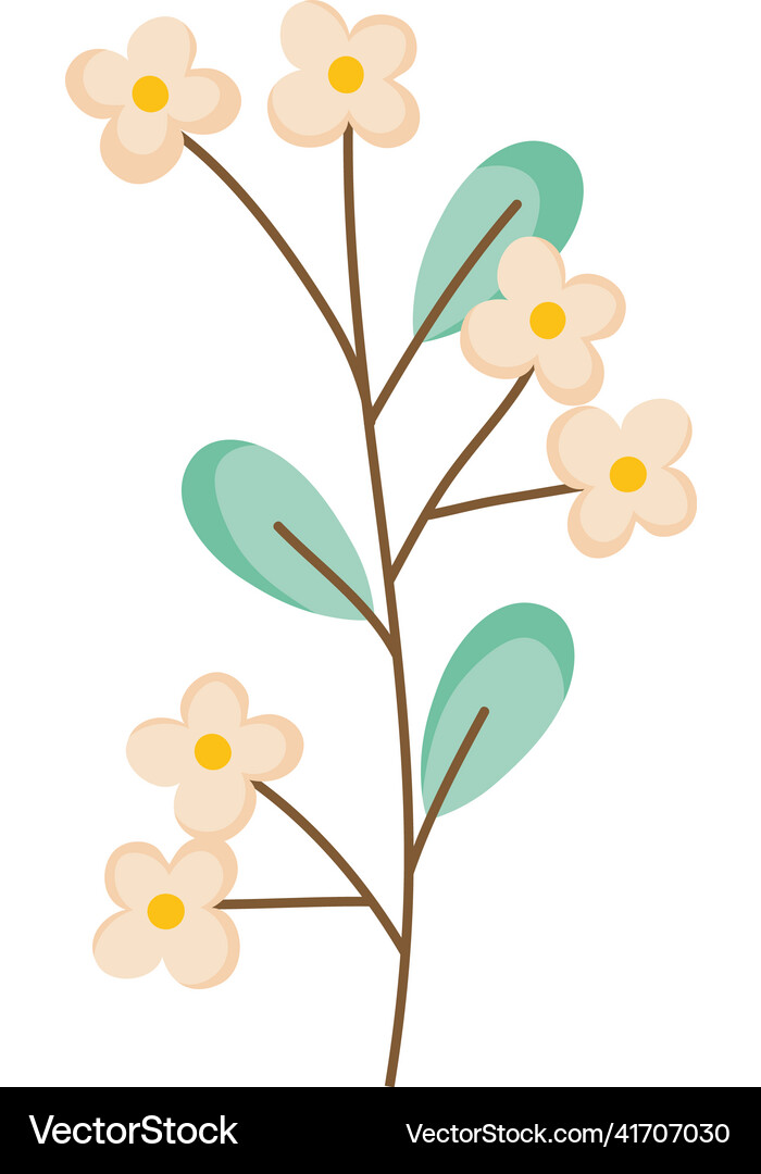 Branch with little flowers Royalty Free Vector Image